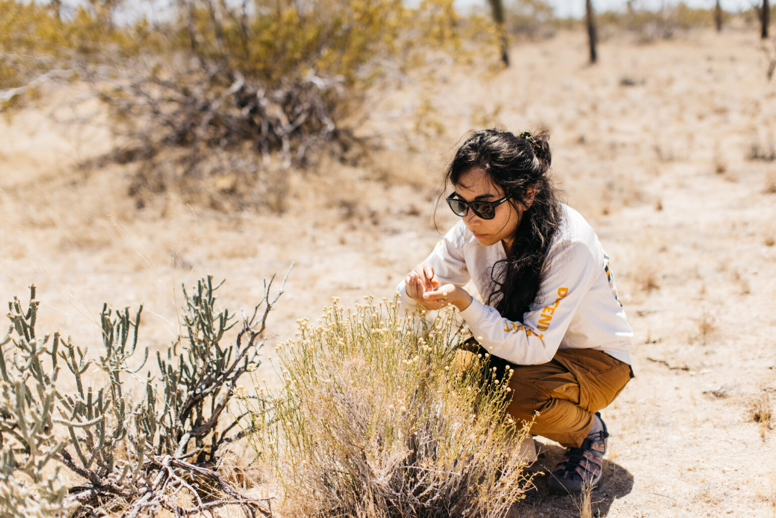 Community in Conversation: Mojave Desert Land Trust - PIR